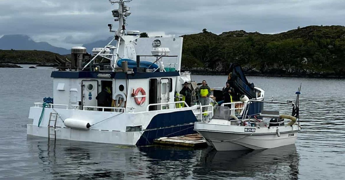 Maritime Tjenester i Smøla | Norsk Sjøservice AS